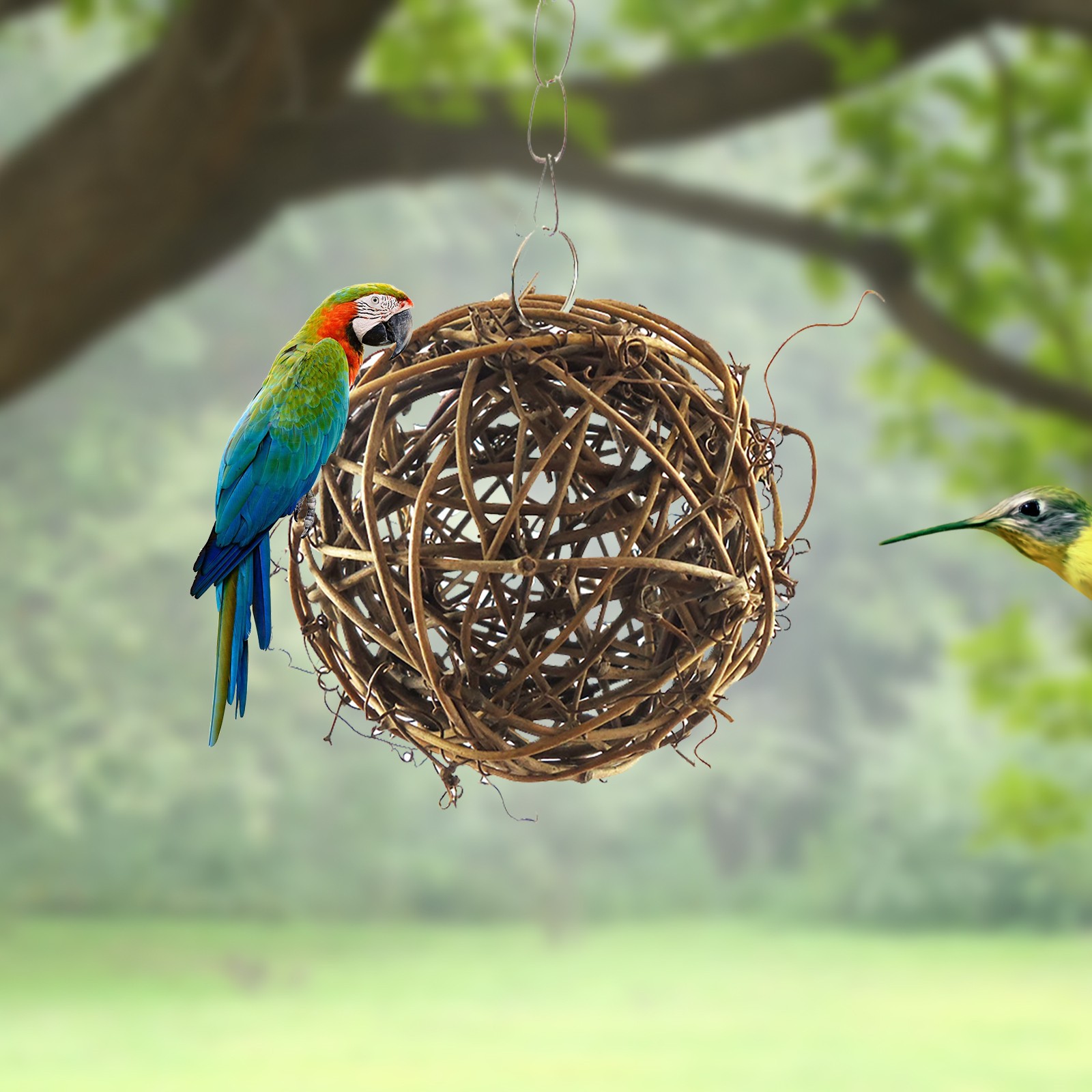 bird feeder Wooden Rope Ladder Toy For Bird Parrot... – Grandado