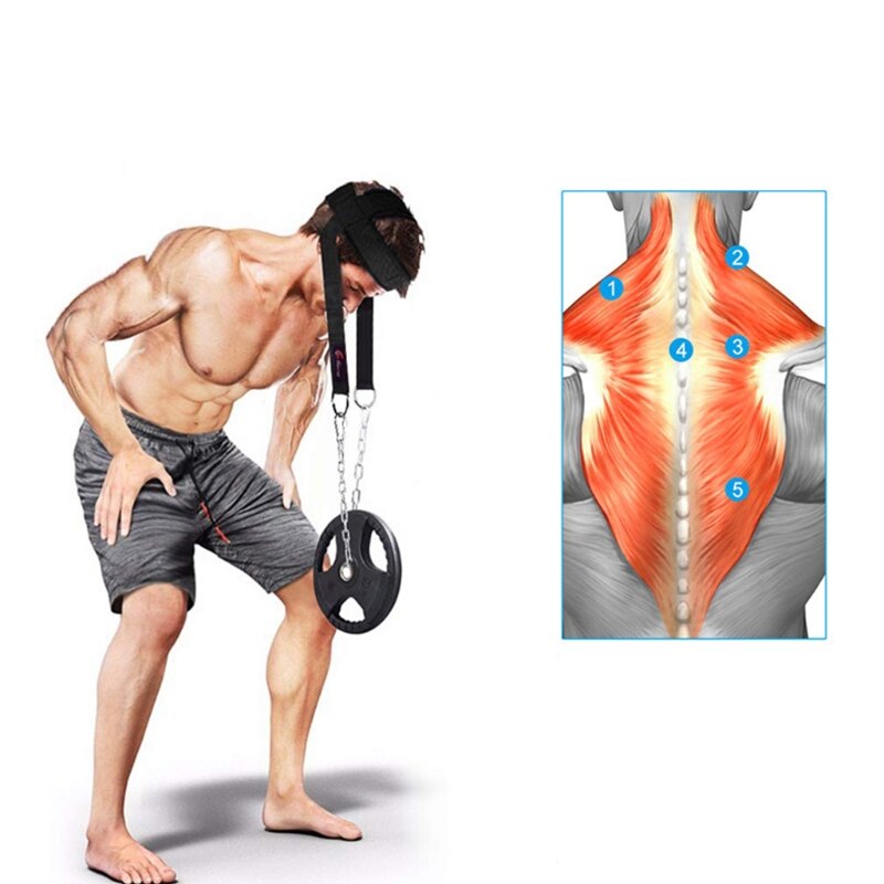 Shoulder Weight Training Head and Neck Muscle Stre... – Grandado