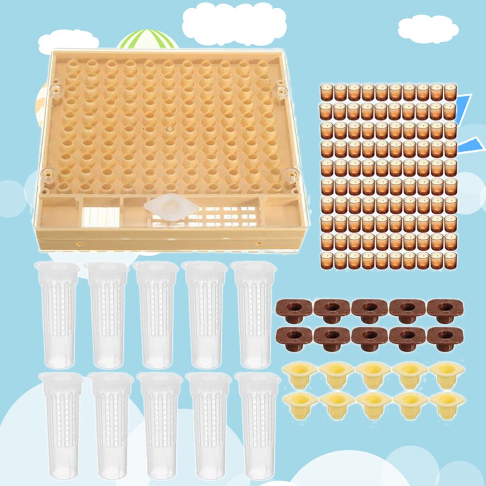 Queen Rearing System Cultivating Box Plastic Bee C... – Grandado