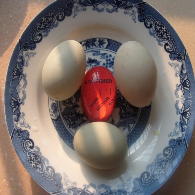 1Pcs Egg Perfect Color Changing Timer Soft Hard Bo... – Grandado