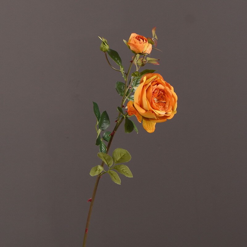British royal roses European minimalist modern liv... – Vicedeal