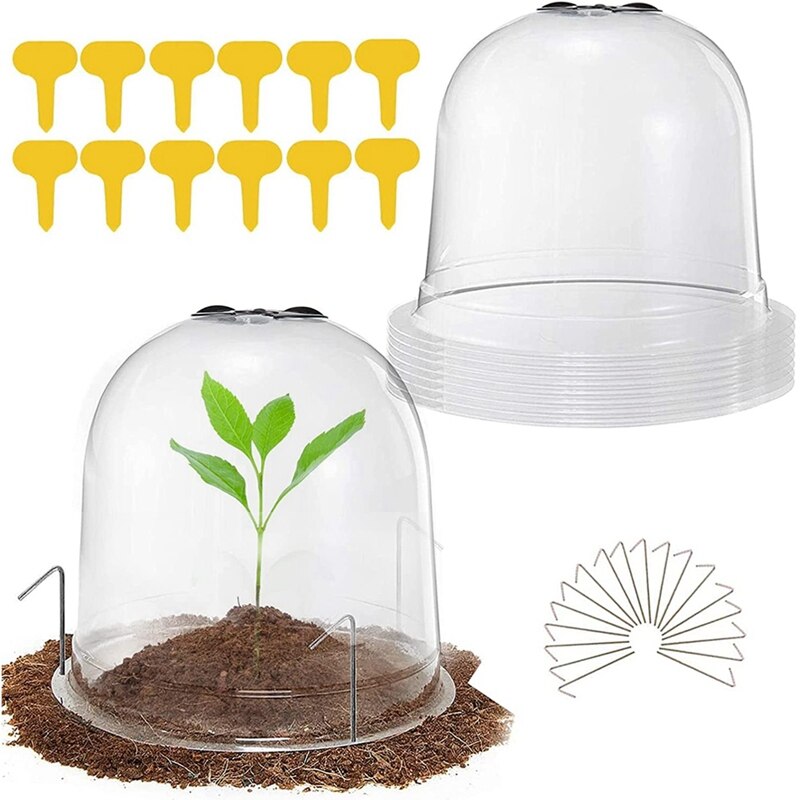 Garden Cloche , 6 Pack Plant Protect Bell Cover Mi... – Grandado