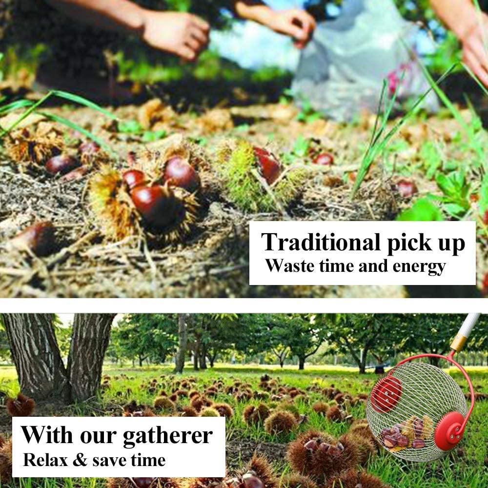 Nut Collector Head Red Nut Gatherer Strong Sturdy ... – Grandado