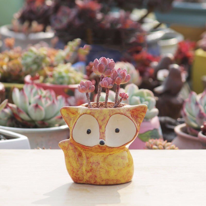 Ceramic Fox Plant Pot Micro Cute Mini Potted Succu... – Vicedeal