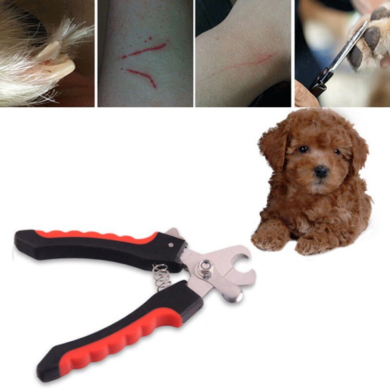 Pet Nail Clipper Cutter Grooming Scissors for Anim... – Grandado