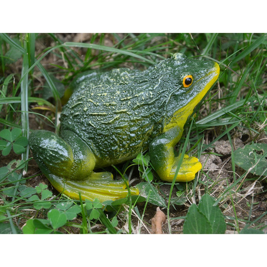 Green Miniature Frog Figure Model for Home Garden ... – Vicedeal