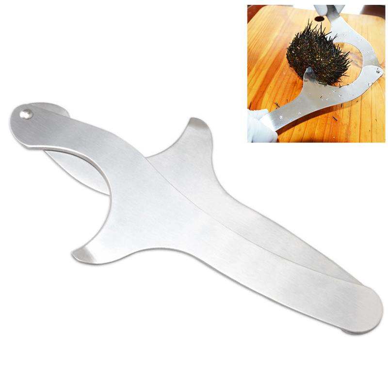 Stainless Steel Sea Urchin Opener Scissors Echinus... – Grandado