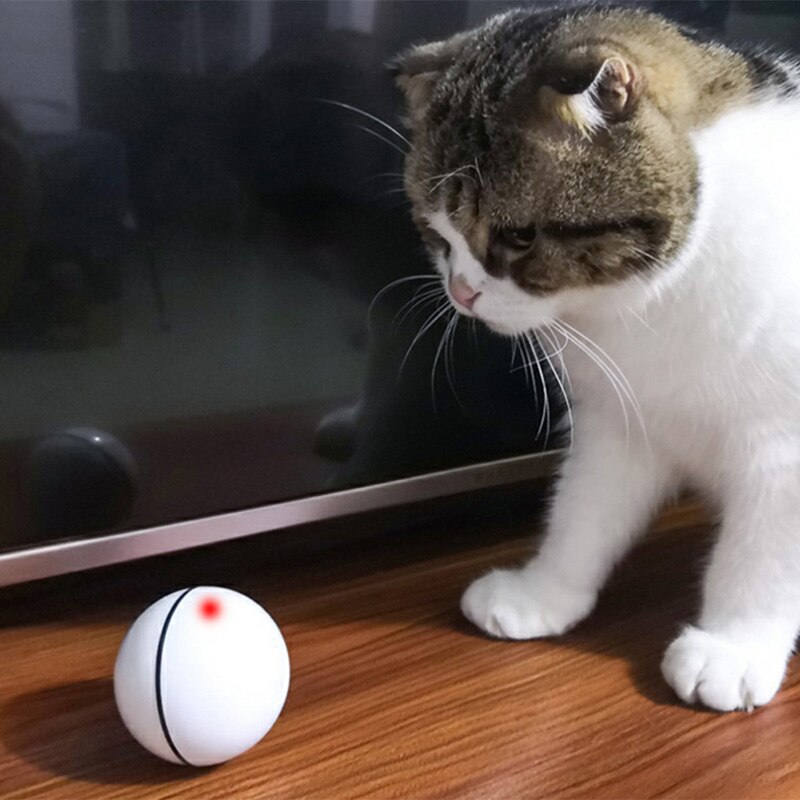 Cats Toys Ball USB Rechargeable LED Luminous Pet D... – Grandado