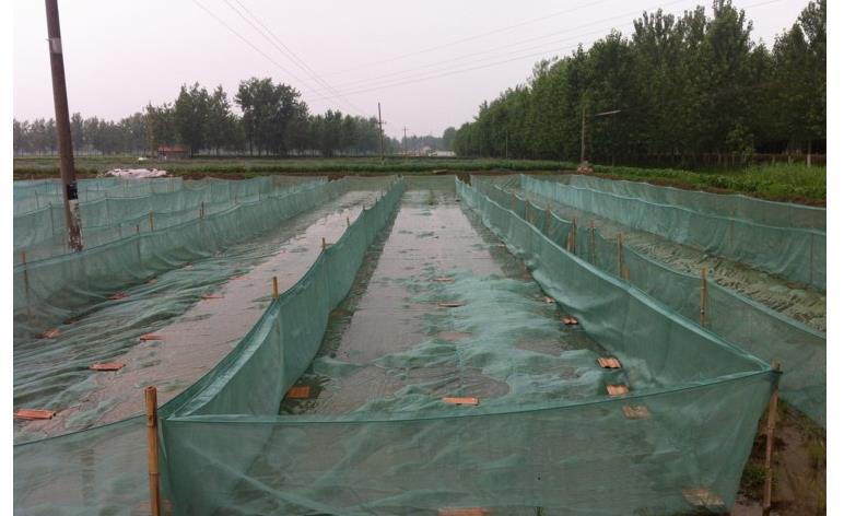 1 pcs breeding net shrimp nets Aquaculture net Fis... – Grandado