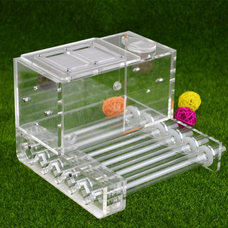 Large Size Test Tube Ant Nest Horizontal 18mm Six ... – Grandado