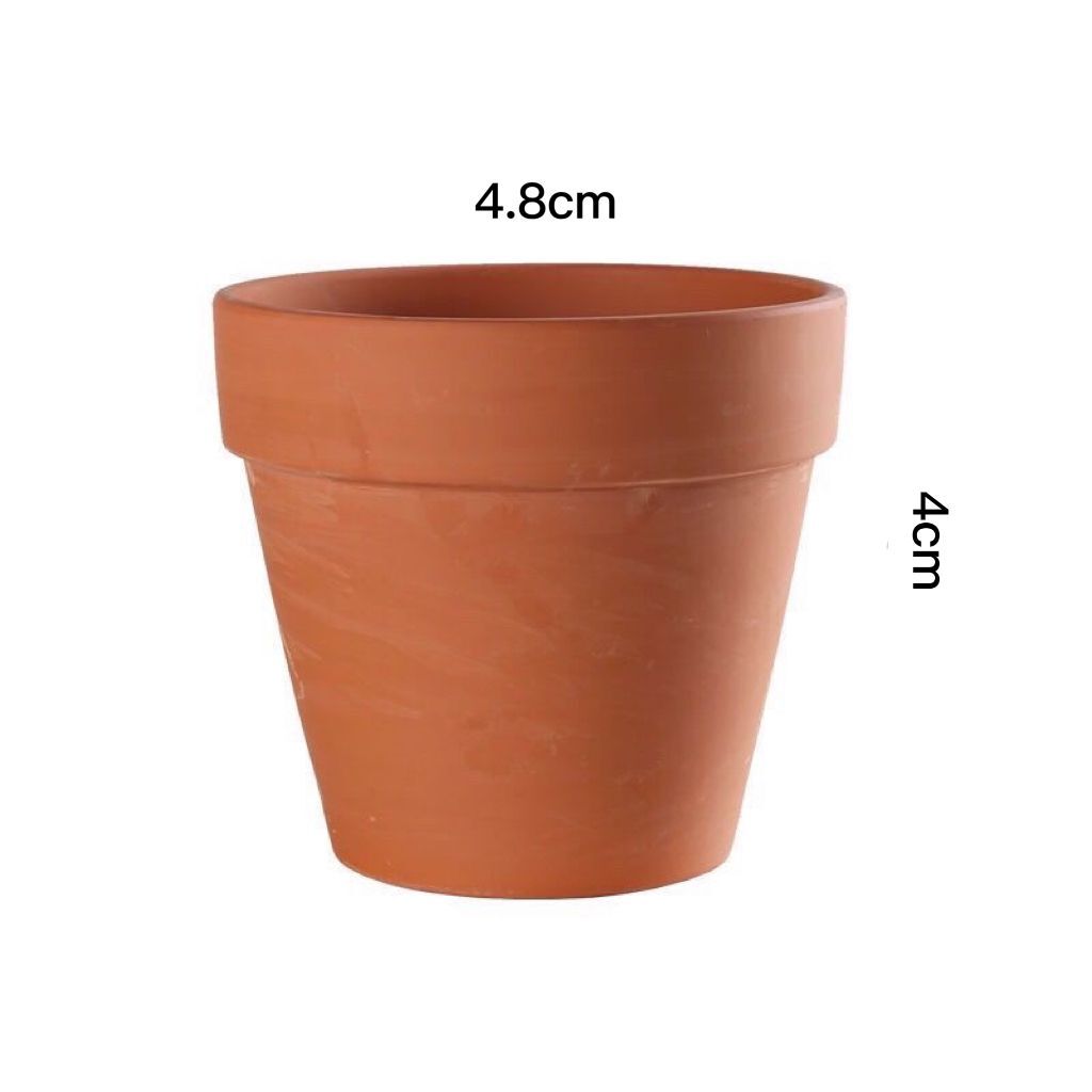 16 Pcs 2 ''Terra Cotta Potten Planter Cactus Bloem... – Vicedeal