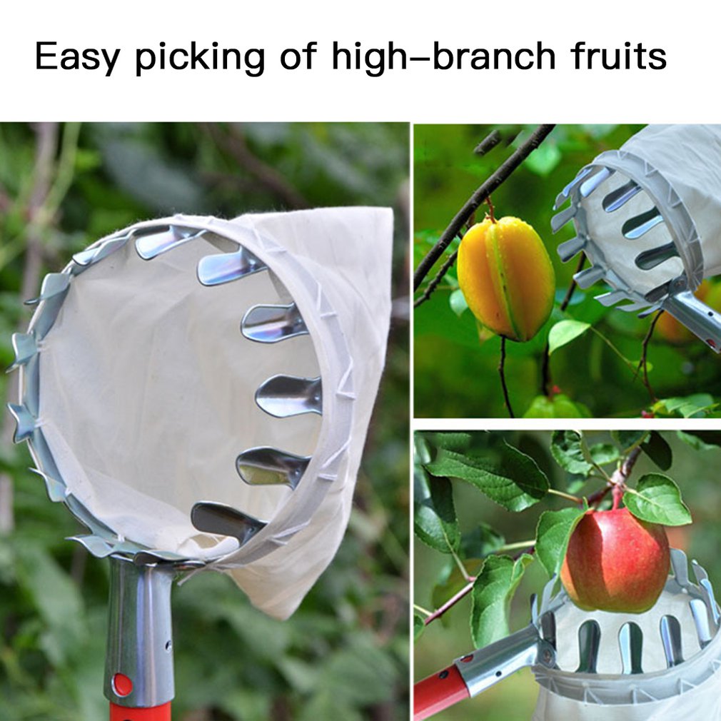 Fruit Picker Boomgaard Tuinieren Tool Hoge Boom Pi... – Vicedeal