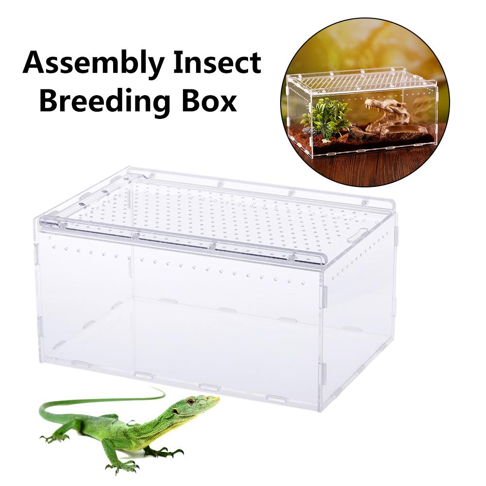 Acrylic Reptile Breeding Box Transparent Panoramic... – Grandado