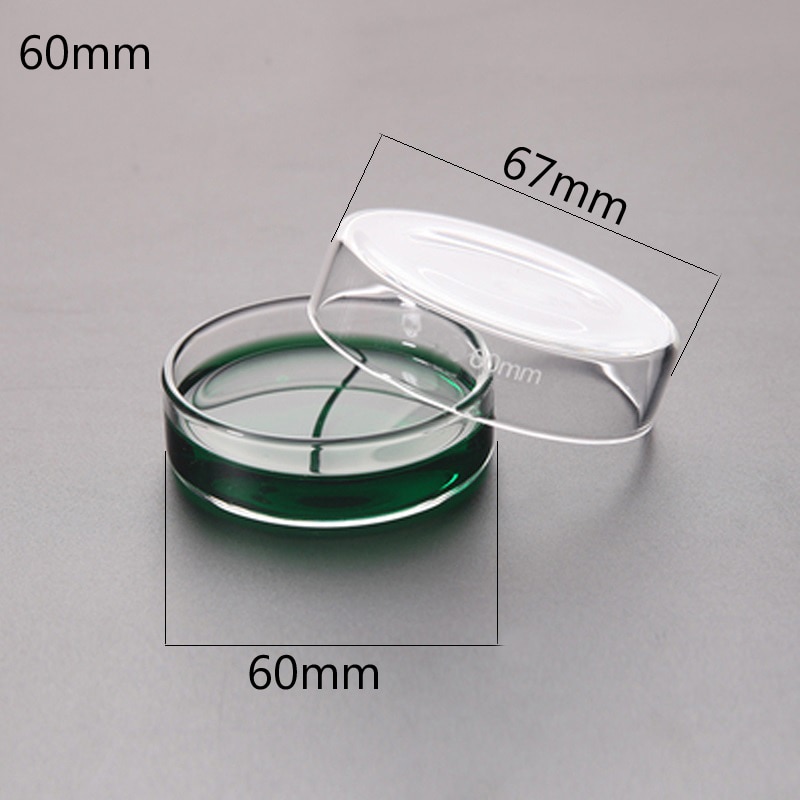 10 pieces/pack 60mm Glass Petri Dish Bacterial Cul... – Grandado