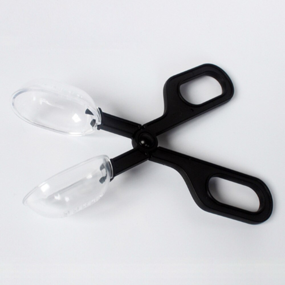 1Pcs Insect Clip Reptiel Terrarium Hagedissen Plas... – Vicedeal