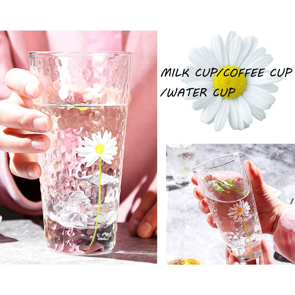 Highball Glasses,kitchen Glassware Everyday Drinki... – Grandado