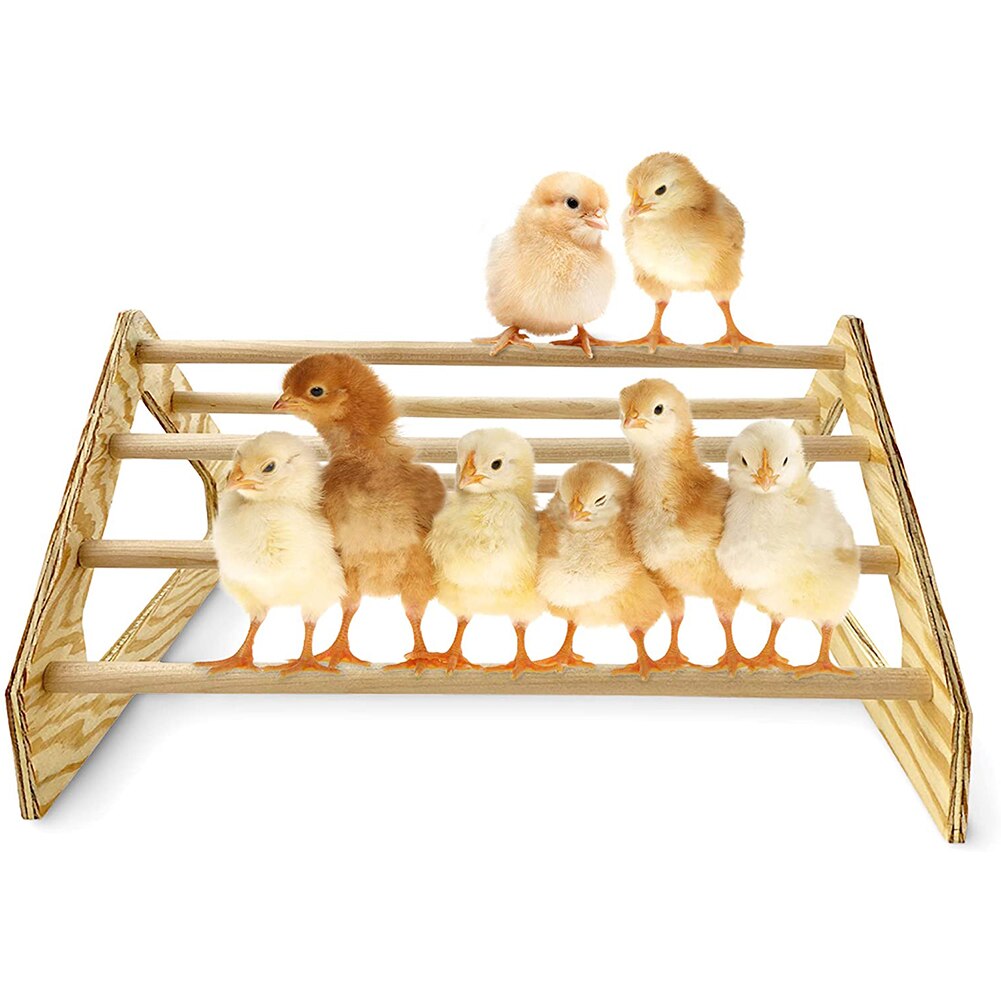 Wooden Swing Stand Pet Perch Stand Chicken Roostin... – Vicedeal