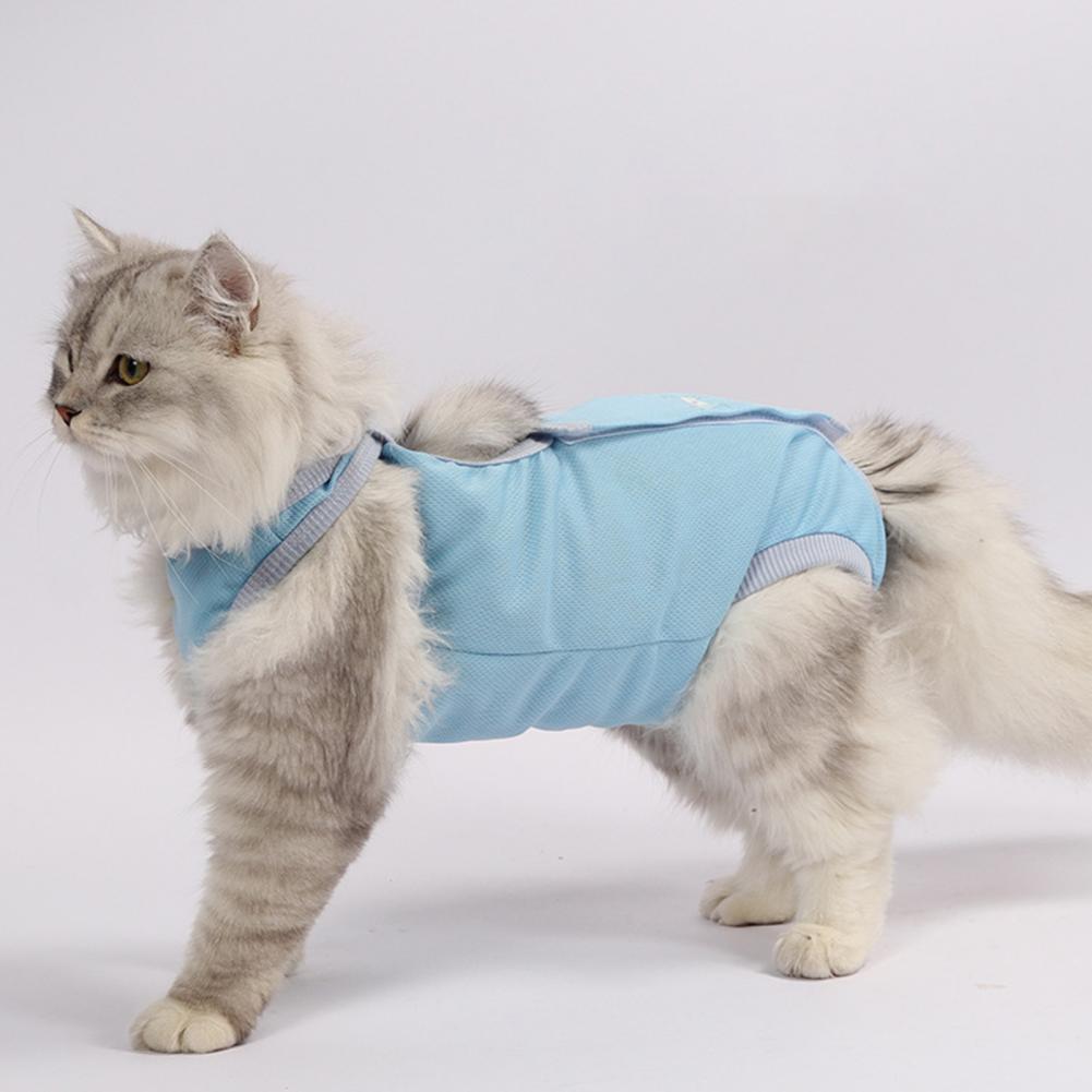 Cat Recovery Suit Soft Soft Round Neck Cat Recover... – Vicedeal