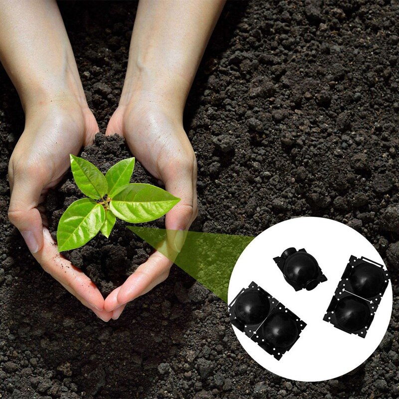 20PCS Reusable Plant Rooting Equipment Kit-High Pr... – Grandado