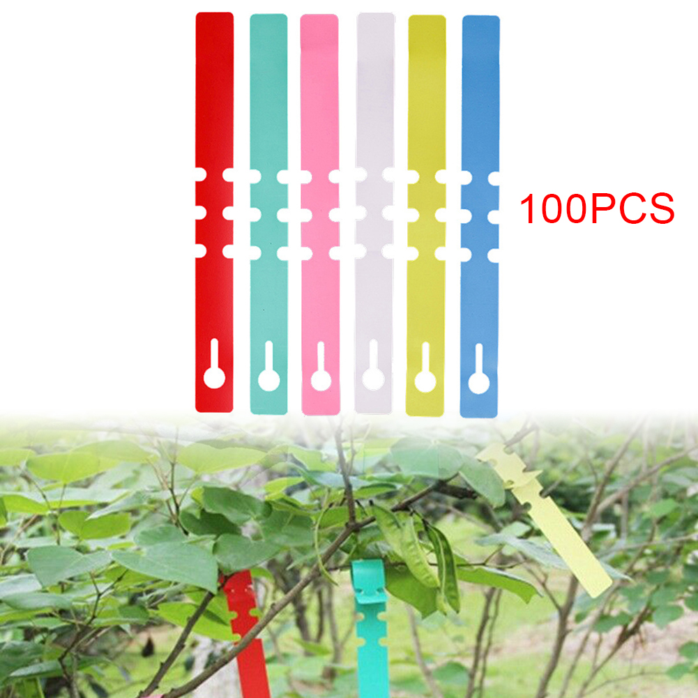 100PCS Garden Plant Tree Labels Hanging Name Tags ... – Grandado