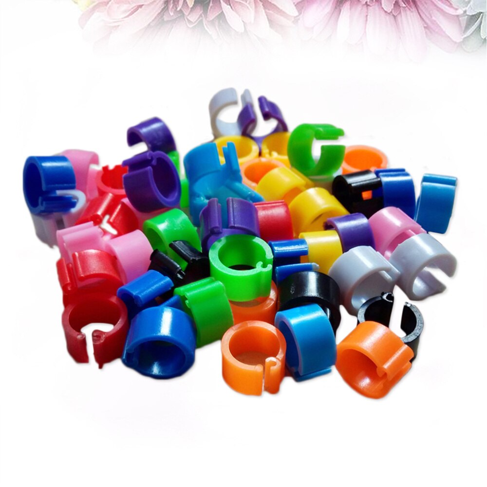 100 Pcs Birds Identification Pigeons Parrot Bird O... – Grandado