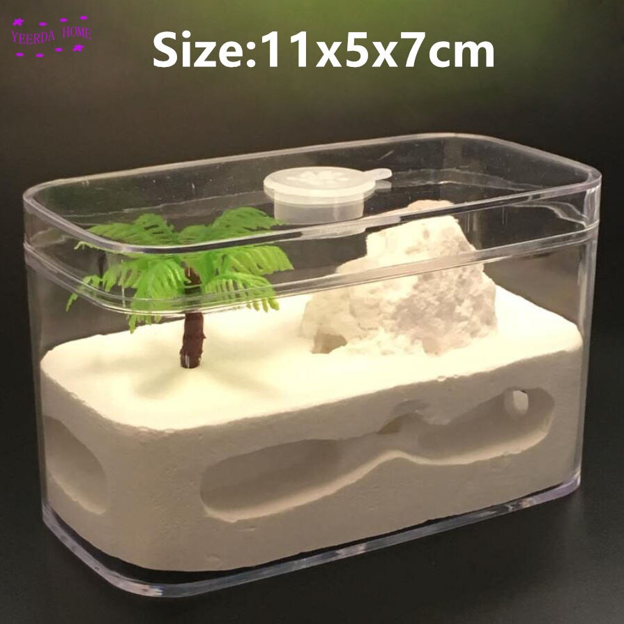 Easy DIY with feeding area ant nest ,ant farm acry... – Vicedeal