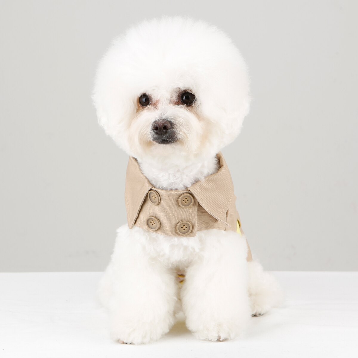 Small and Medium Dog Coats Autumn and Winter Dog T... – Grandado