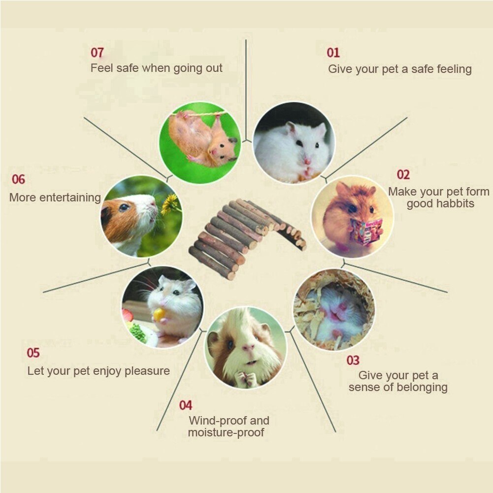 Non Toxic Hamster Training Tool Scorpions Escape H... – Grandado