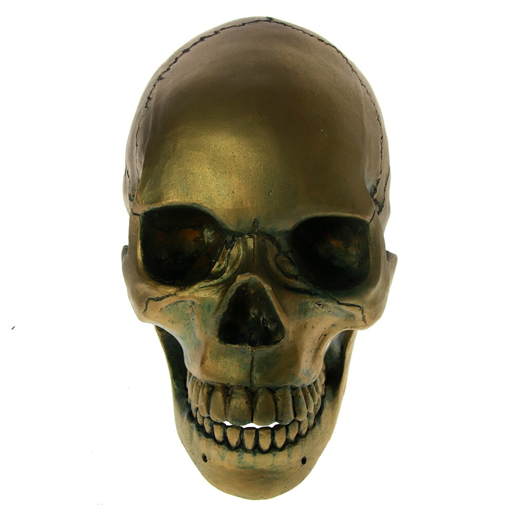 1Piece Antique Skeleton Head Sculpture Halloween H... – Grandado