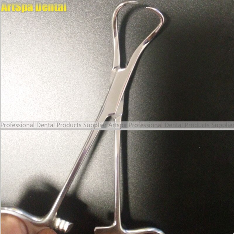 Tandheelkundige Backhaus Weefsel Pincet 13 Cm Tang... – Grandado