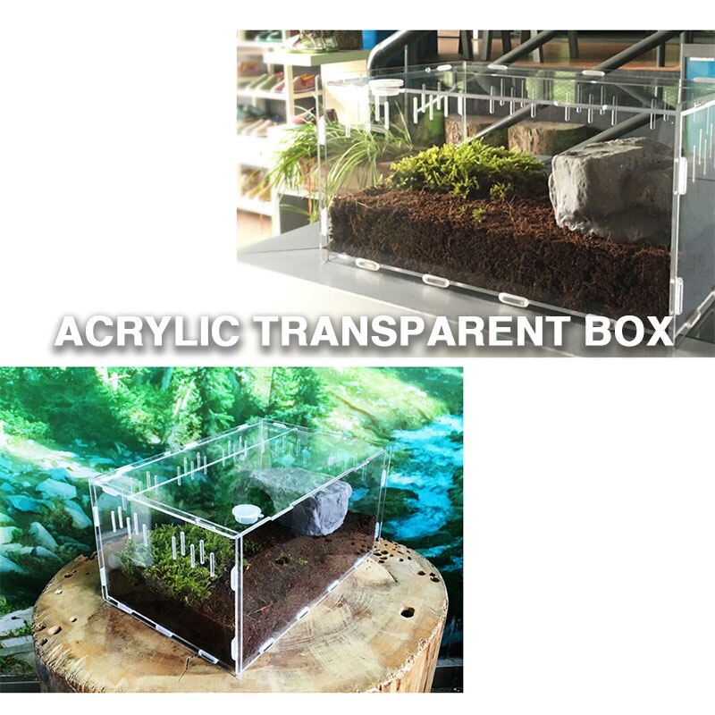 Practical Reptile Terrarium Pet Box Acrylic Transp... – Vicedeal