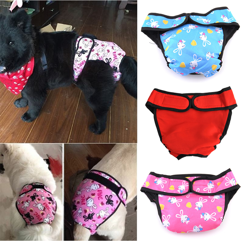 Alle Size Soft Hond Kat Speciale Kleding Fysiologi... – Grandado