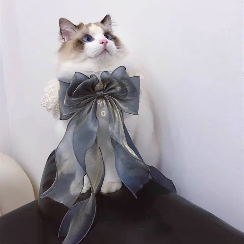 Puppy Dog Cats Collar Bib Exaggerate Big Bow Colla... – Vicedeal