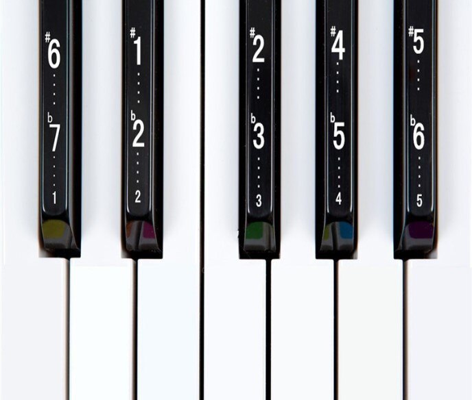 4PCS Keys Piano Keyboard Sound Name Stickers Piano... – Grandado