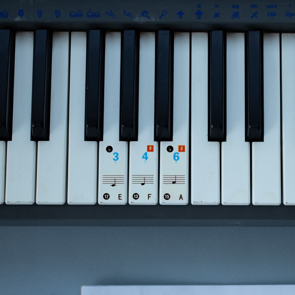 Large Bolds Staff and Letter Piano Sticker Transpa... – Vicedeal