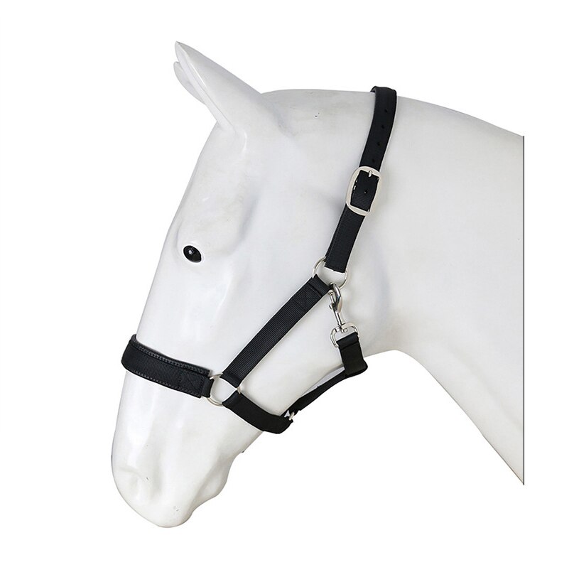 Horse Head Collar adjustable and Comfortable With ... – Grandado