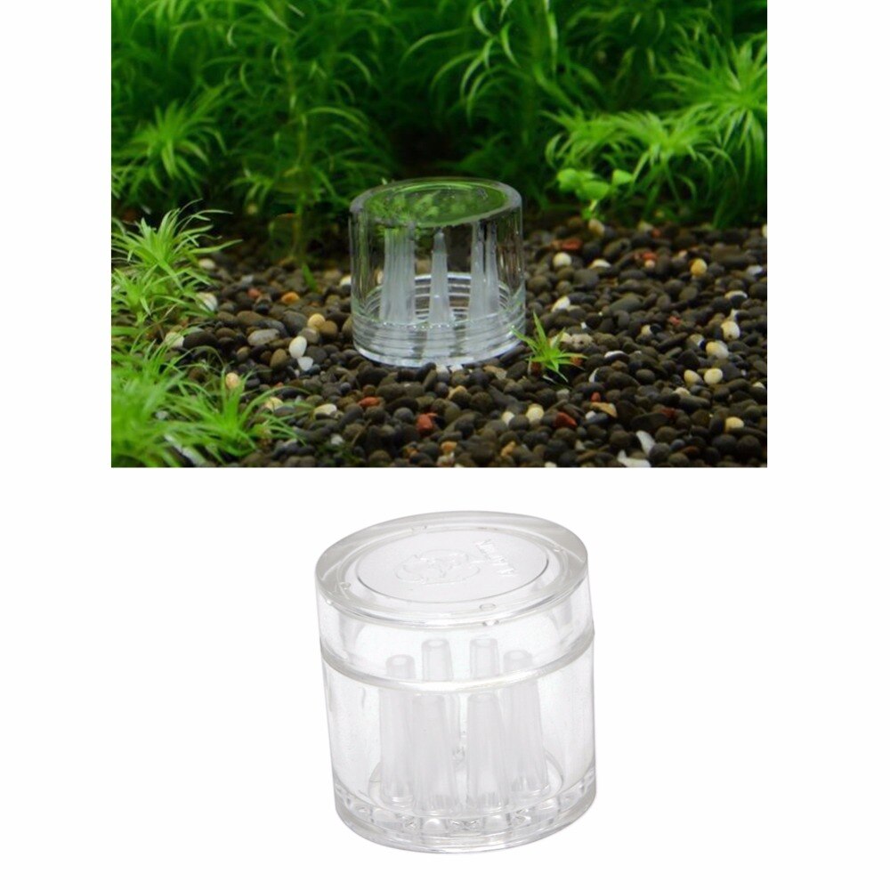 8 Holes Transparent Plastic Aquarium Tank Catcher ... – Grandado