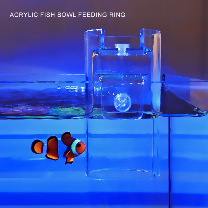 Aquarium Fish Feeder Arcylic Floating Food Feeding... – Vicedeal
