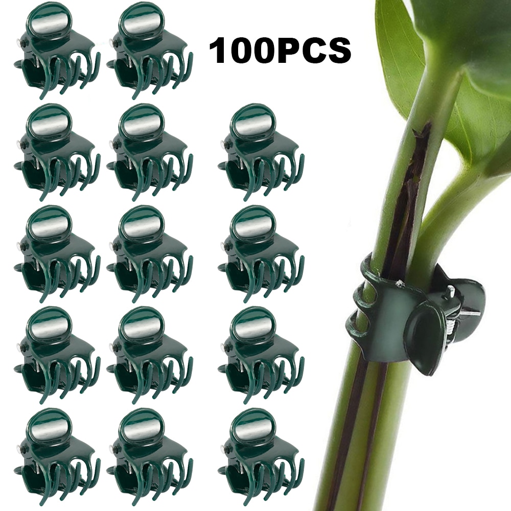 100 pièces jardin plante Clips en plastique Suppor... – Grandado