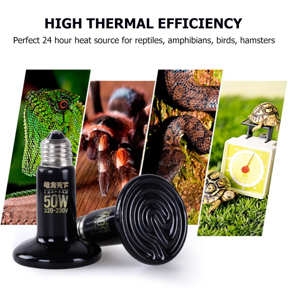 1Pc Heating Light Reptile Heating Lamp Ceramic Inf... – Grandado