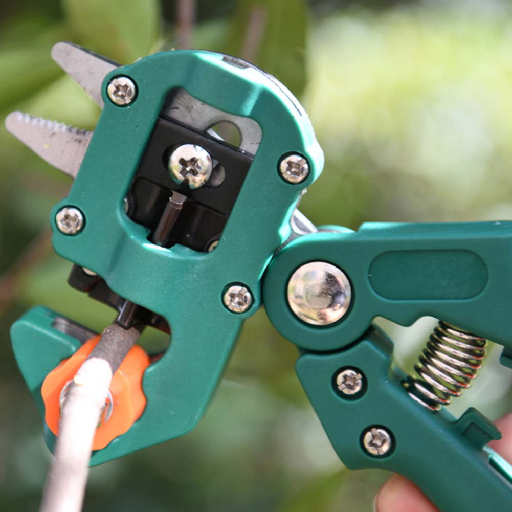 2022 Grafting Shears Scissor Fruit Tree Vaccinatio... – Vicedeal
