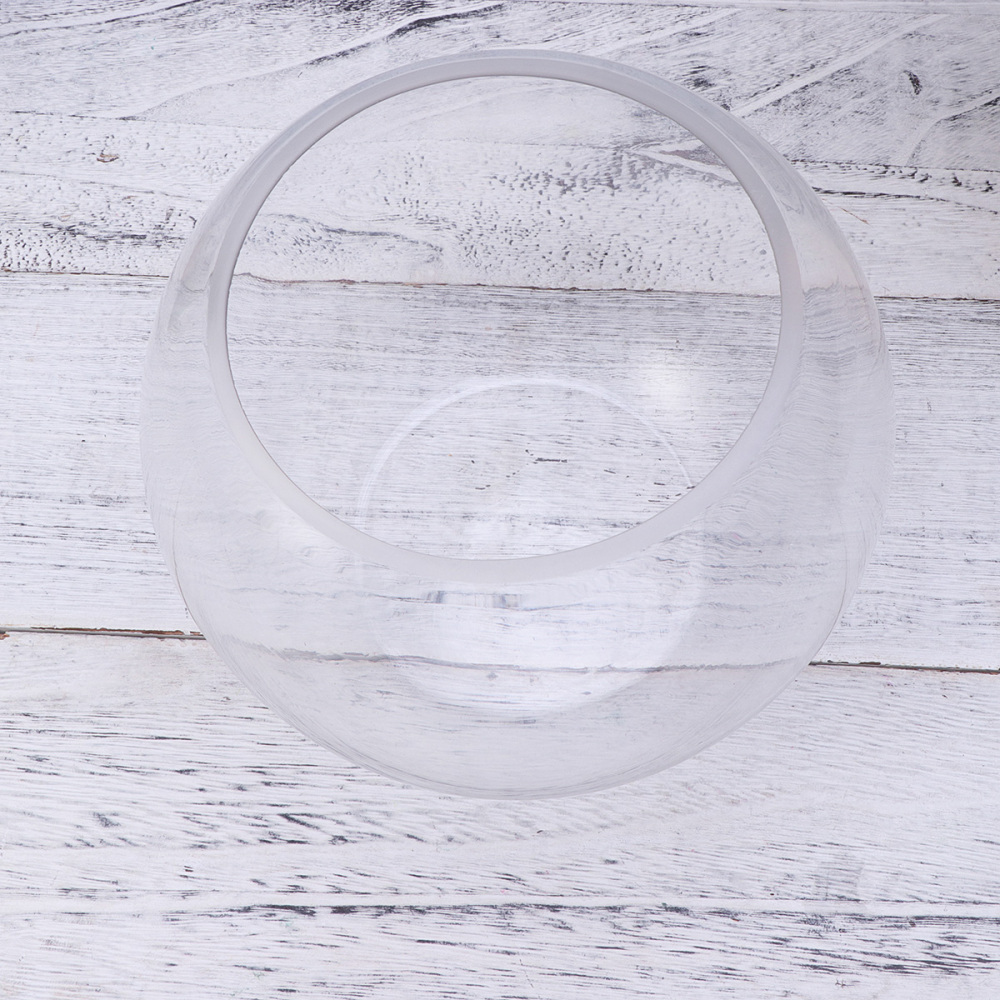 20cm Round Glass Fish Tank Globe Ecological Fish B... – Grandado