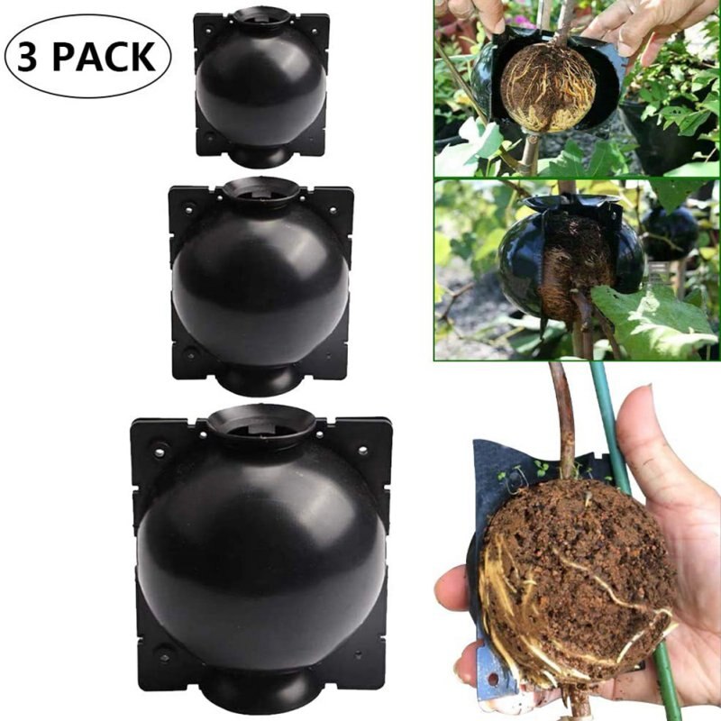 Reusable Plant Rooting Equipment Plant Grafting Bo... – Vicedeal
