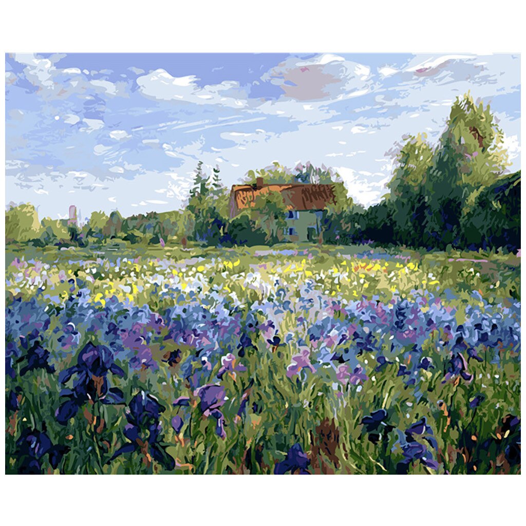 Diy Painting By Numbers Kit Coloring By Numbers Pi... – Vicedeal