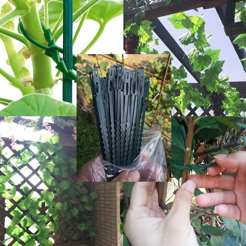 50 PCs One Pack Gardening Fishbone Ties Plant Supp... – Vicedeal