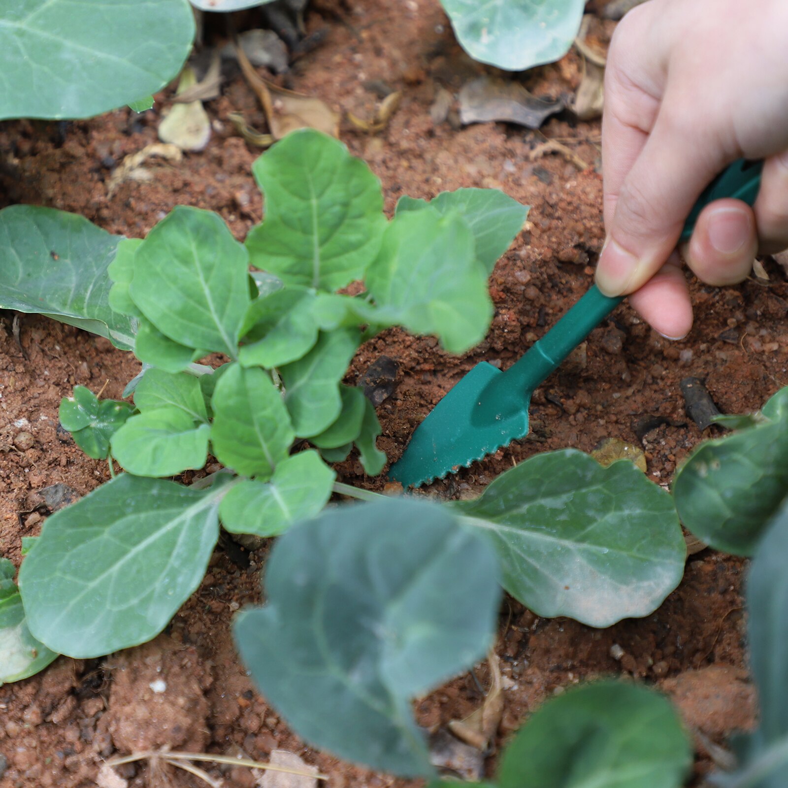 Plants Riser Planting Bonsai Gadgets Mini Adjustab... – Vicedeal