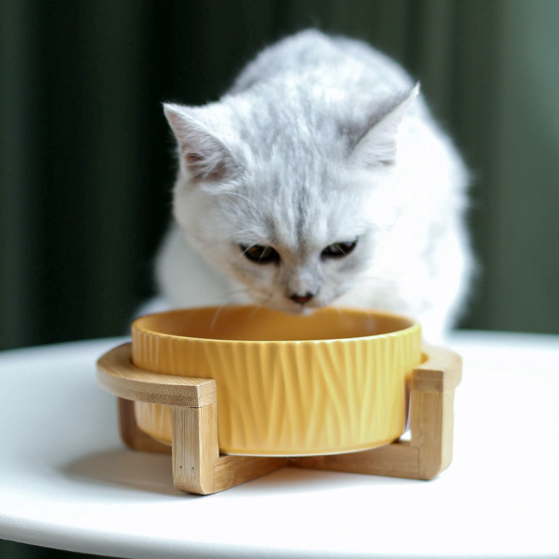 Não-deslizamento Gato Tigelas Pet Food Tigela De Á... – Vicedeal