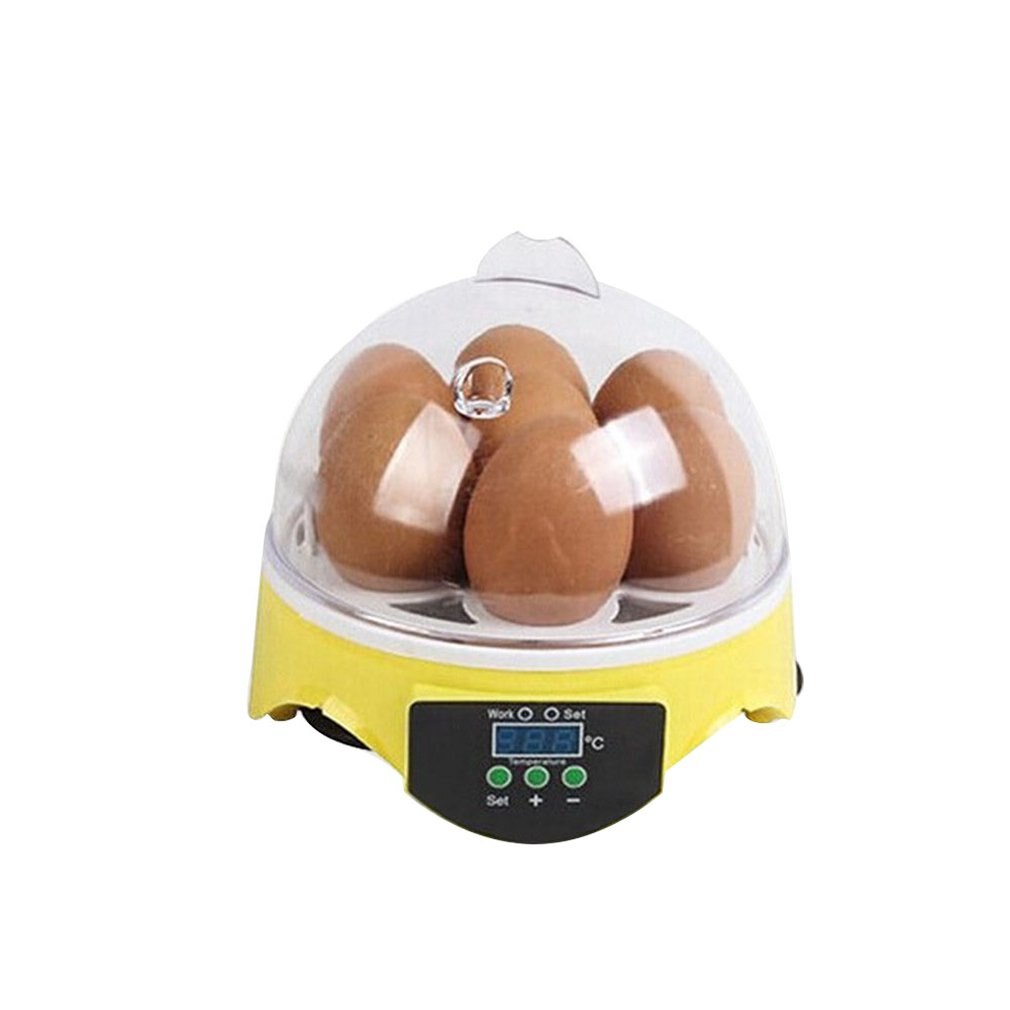 Mini 7 Eieren Incubator Gevogelte Incubator Broedm... – Grandado
