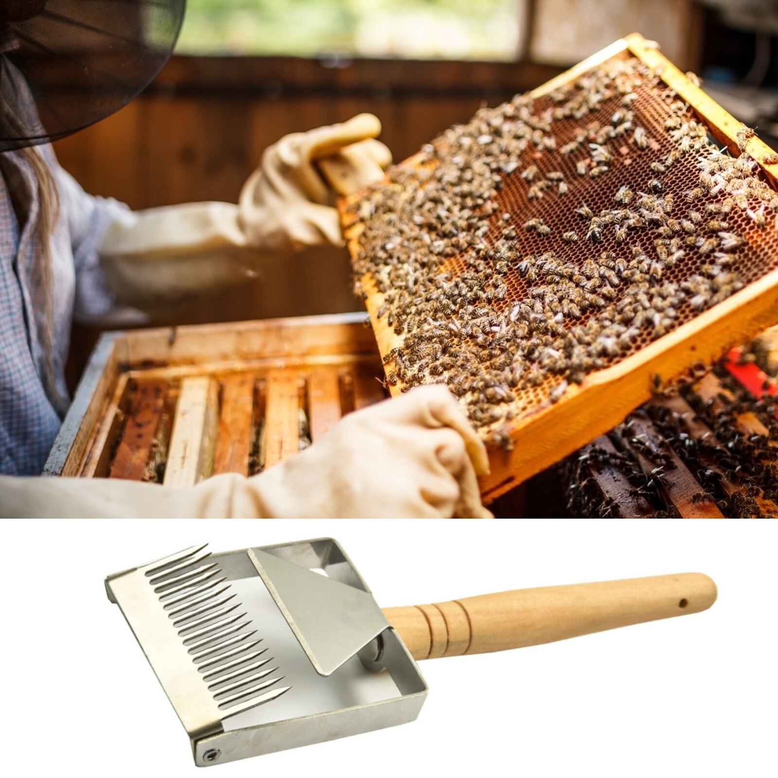Bee Box Uncapping Honey Fork Stainless Steel Honey... – Grandado