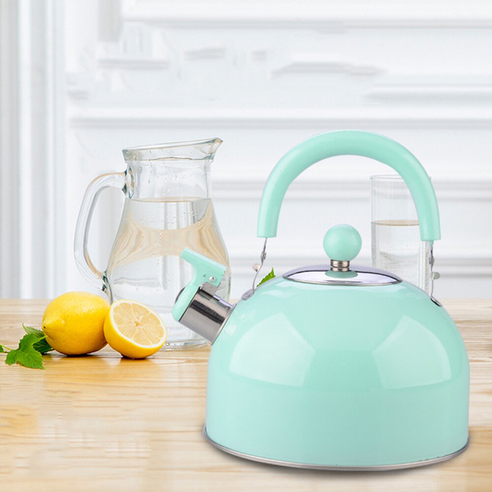1PC Non-magnetic Teakettle Stainless Steel Soundin... – Grandado